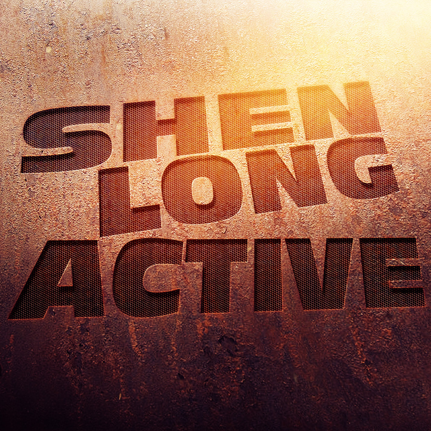 Polska Akademia Wushu Nan Bei Shen Long » Active SL